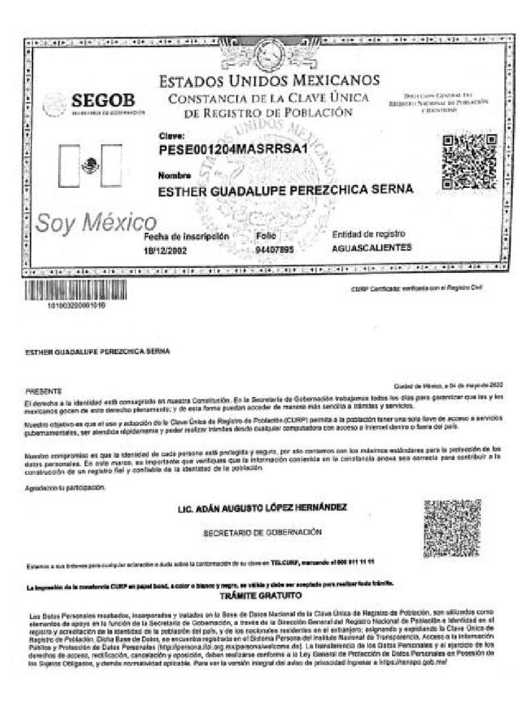 Curp | PDF