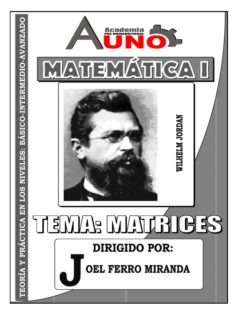 Guía Completa sobre Matrices | PDF | Matriz (Matemáticas) | Funciones y ...