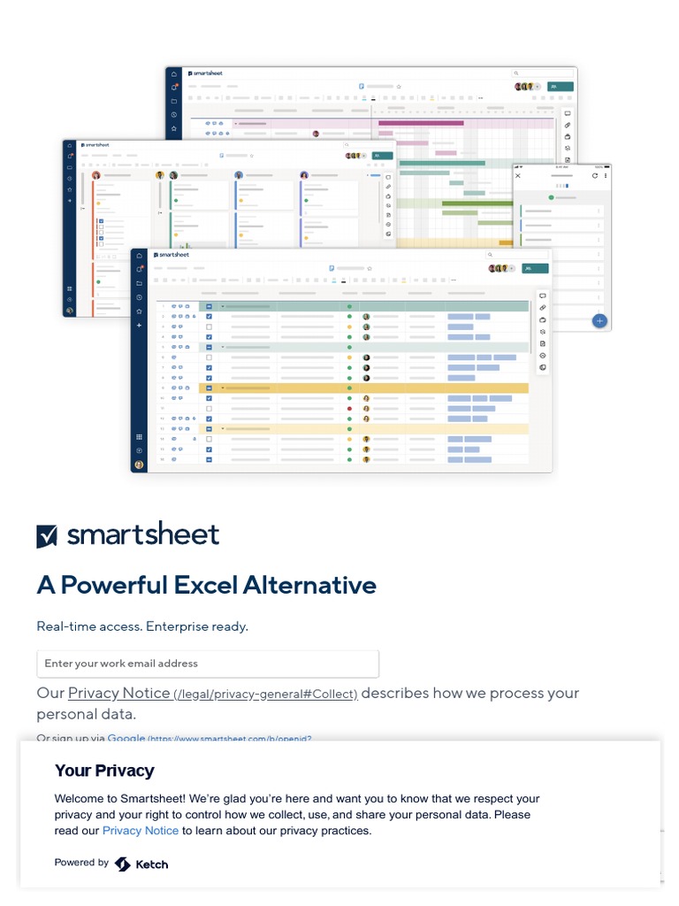 A Powerful Excel Alternative - Smartsheet | Download Free PDF | Privacy | Microsoft Excel