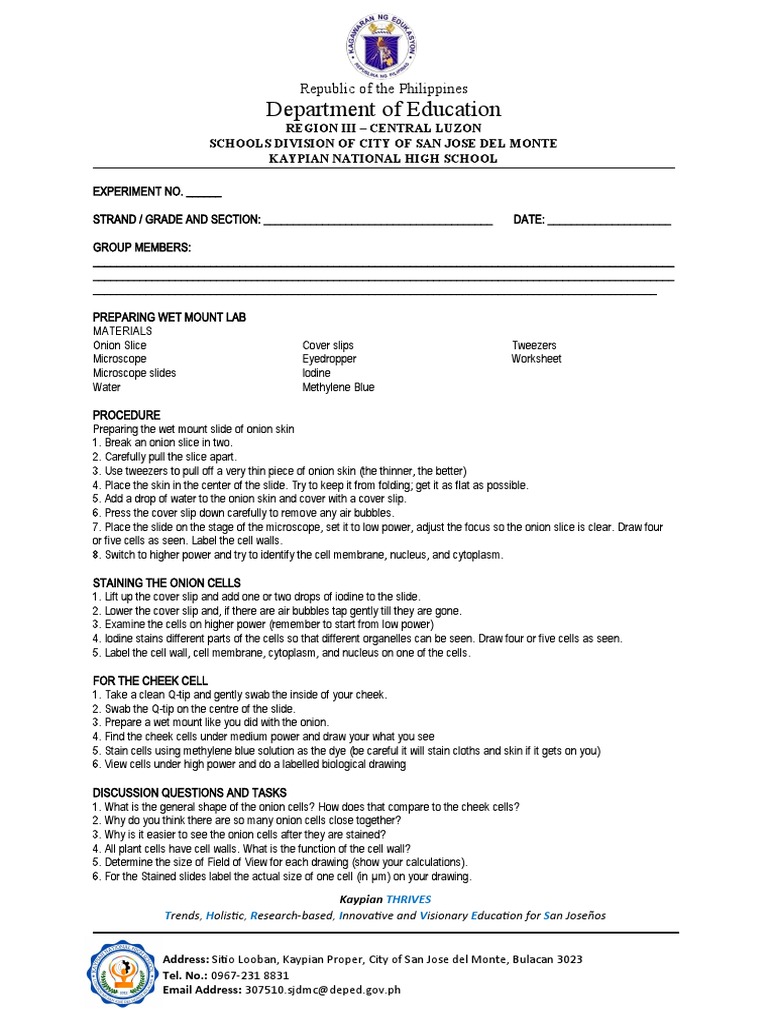 01 Gen-Bio Experiment Onion-And-Cheek | PDF