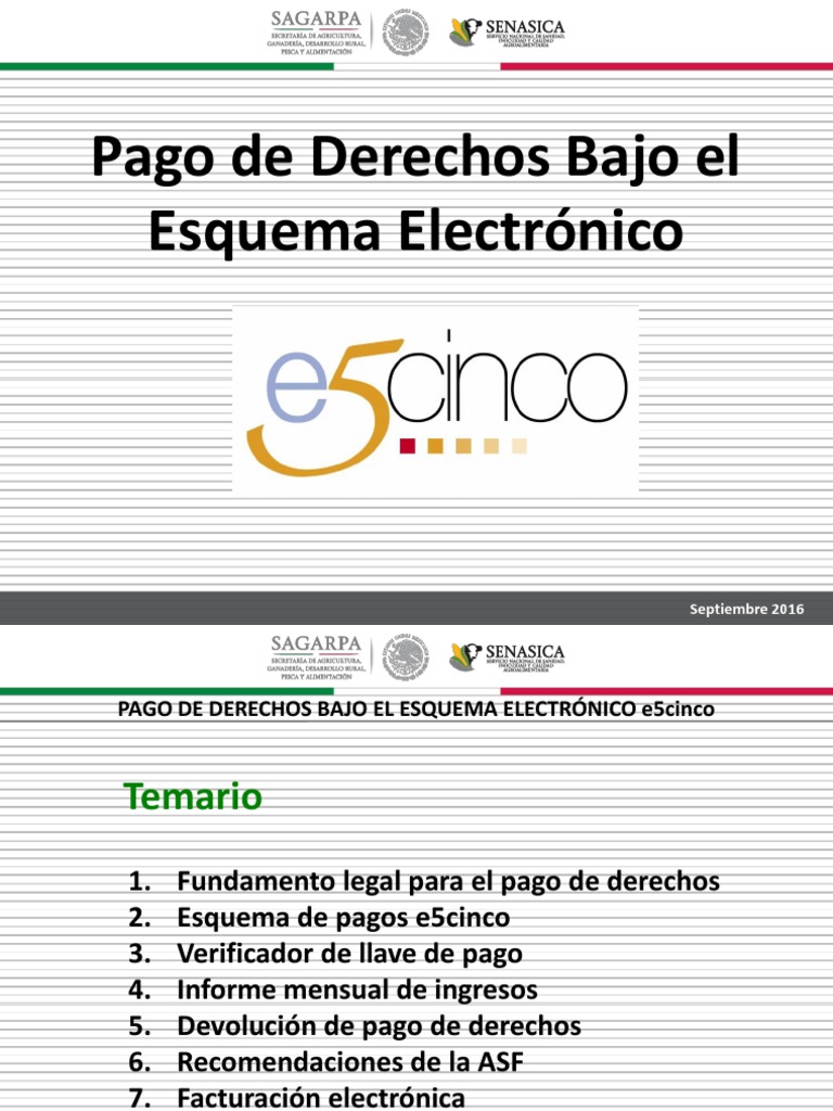 Pago de Derechos Esquema E5cinco | PDF | Industrias de servicio