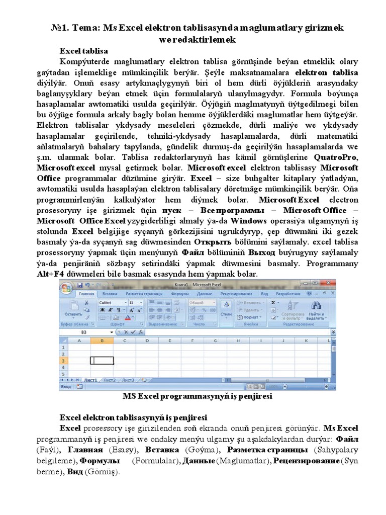 Tema 4 Excel | PDF