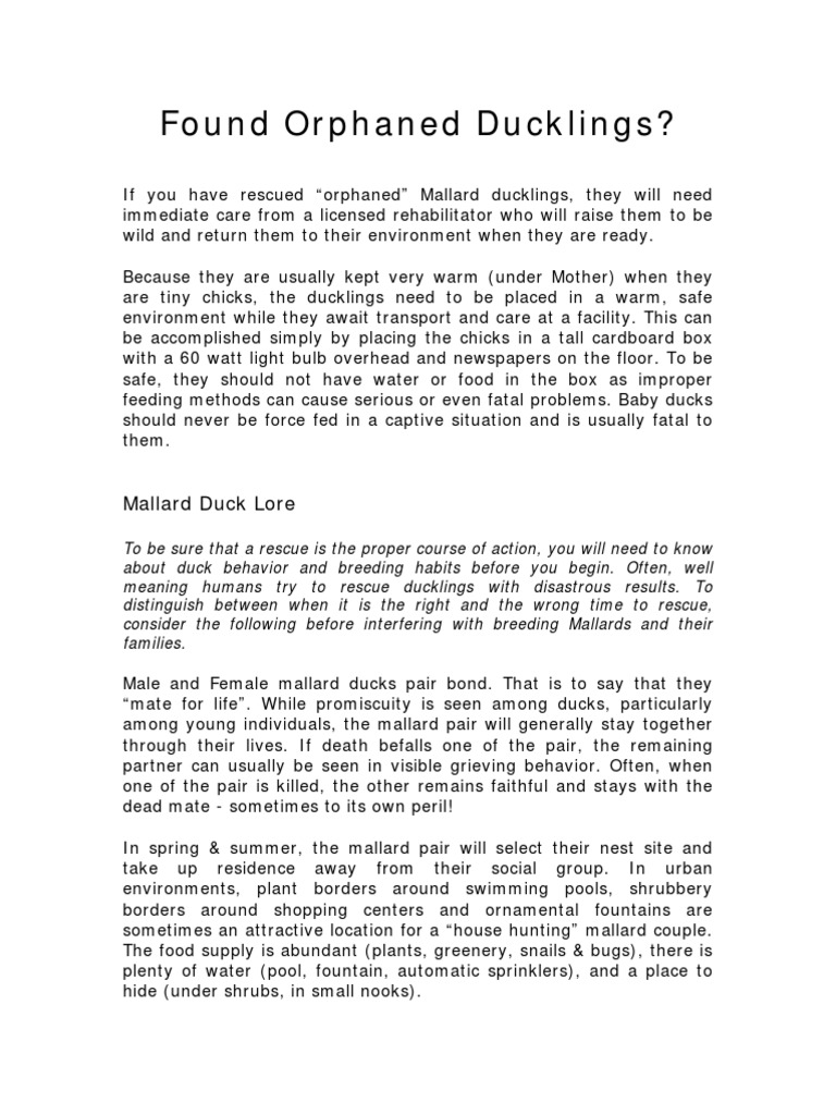 Ducklings | PDF