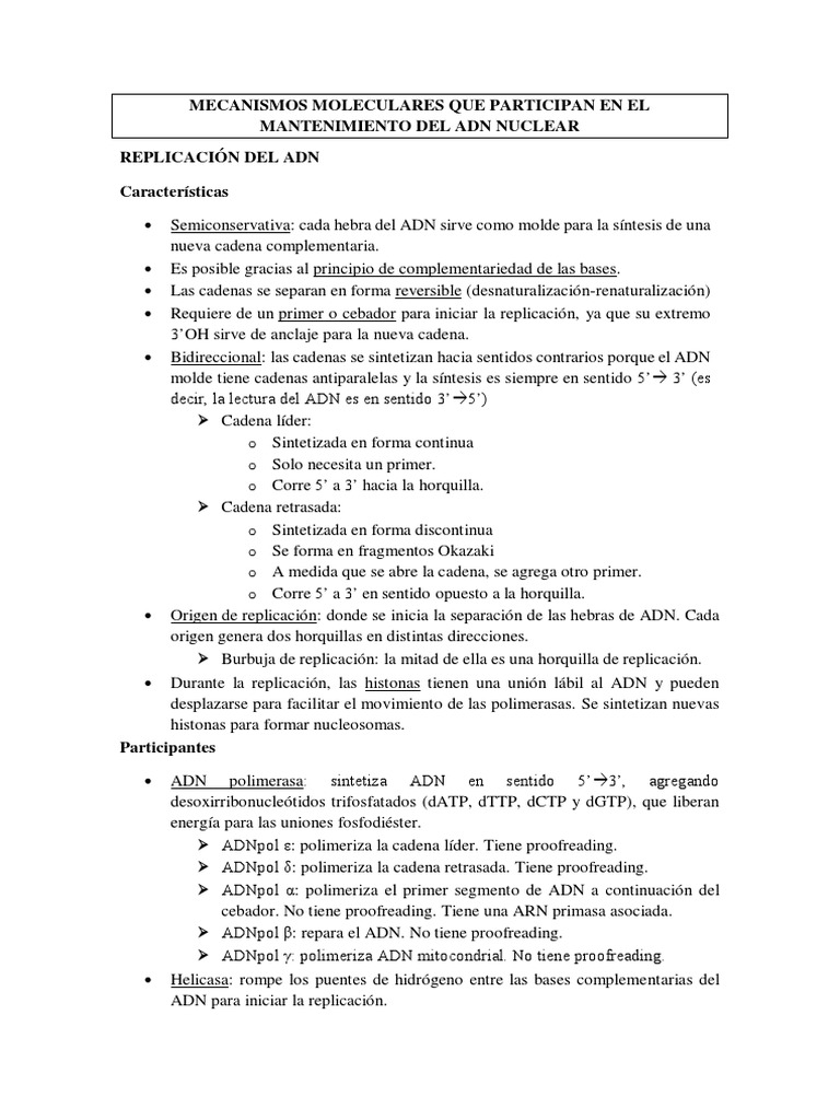 Unidad 1 y 2 - Mantenimiento y Variabilidad Del ADN Nuclear | PDF ...
