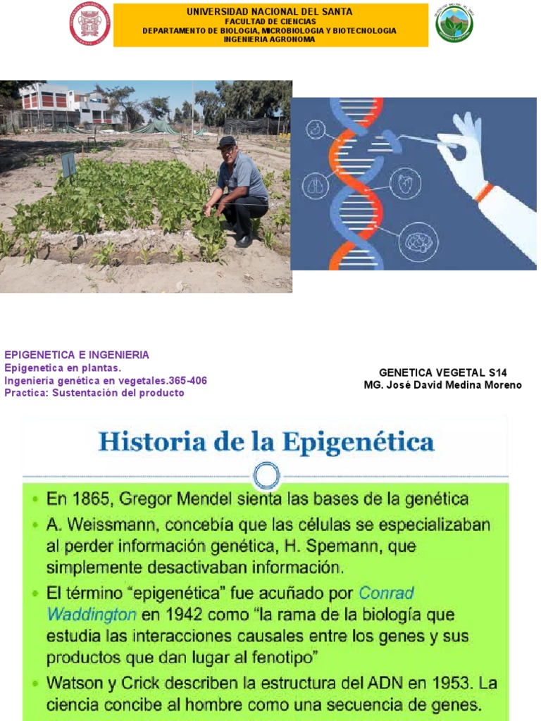 S15 EPIGenetica INGENIERIA VEGETAL | PDF | Salud y bienestar | Tecnología