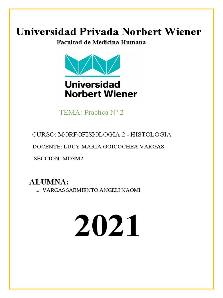 Seminario Morfo 2 | PDF