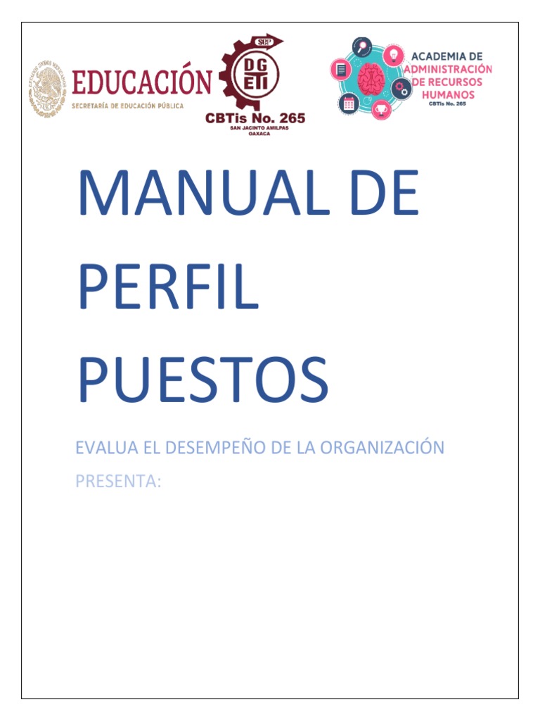 MANUAL DE PERFIL PUESTOS | PDF | Gestión de recursos humanos | Economias