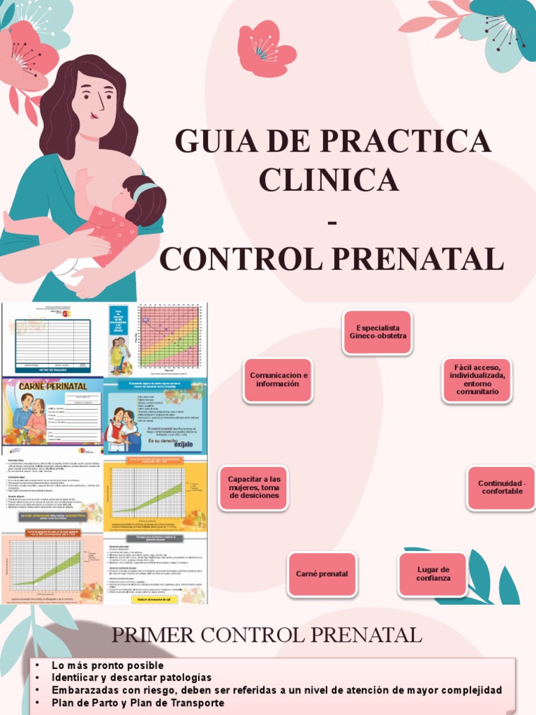 Guía de Práctica Clinica - Control Prenatal | PDF | El embarazo | Parto prematuro