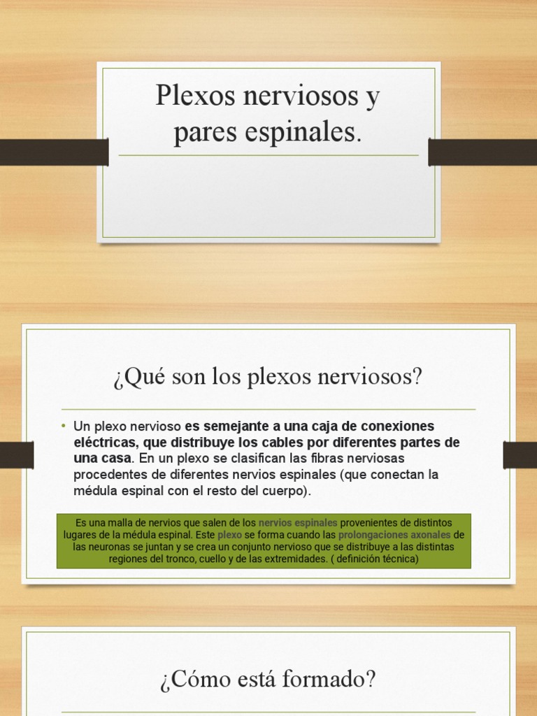 Plexos nerviosos y pares espinales | PDF | Nervio | Médula espinal