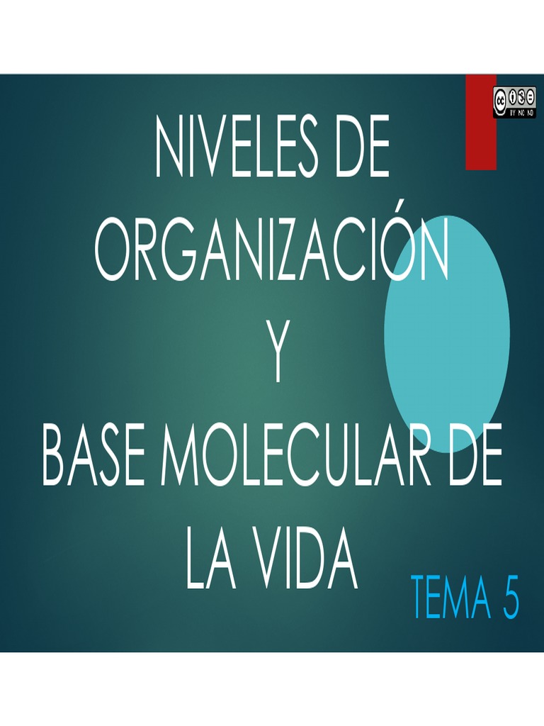 Unidad 5 Niveles de Organización y Base Molecular de La Vida | PDF | Organismos | Vida