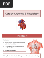 Human Heart Structure Overview | PDF