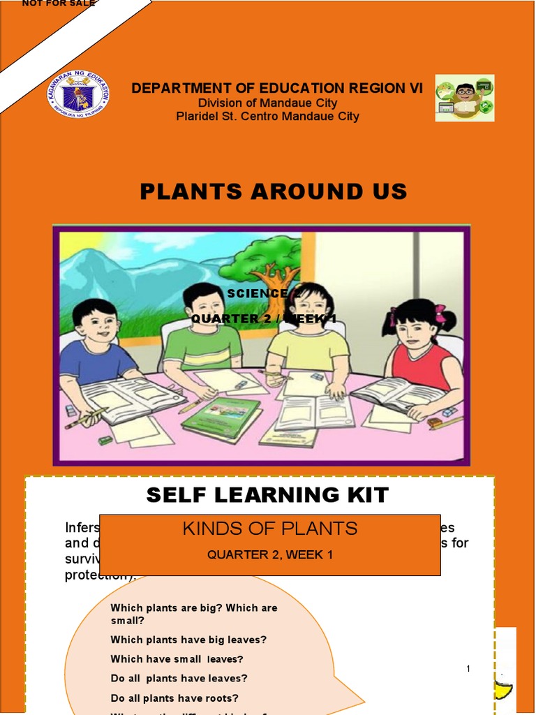 SCIENCE Aya | PDF | Trees | Shrub