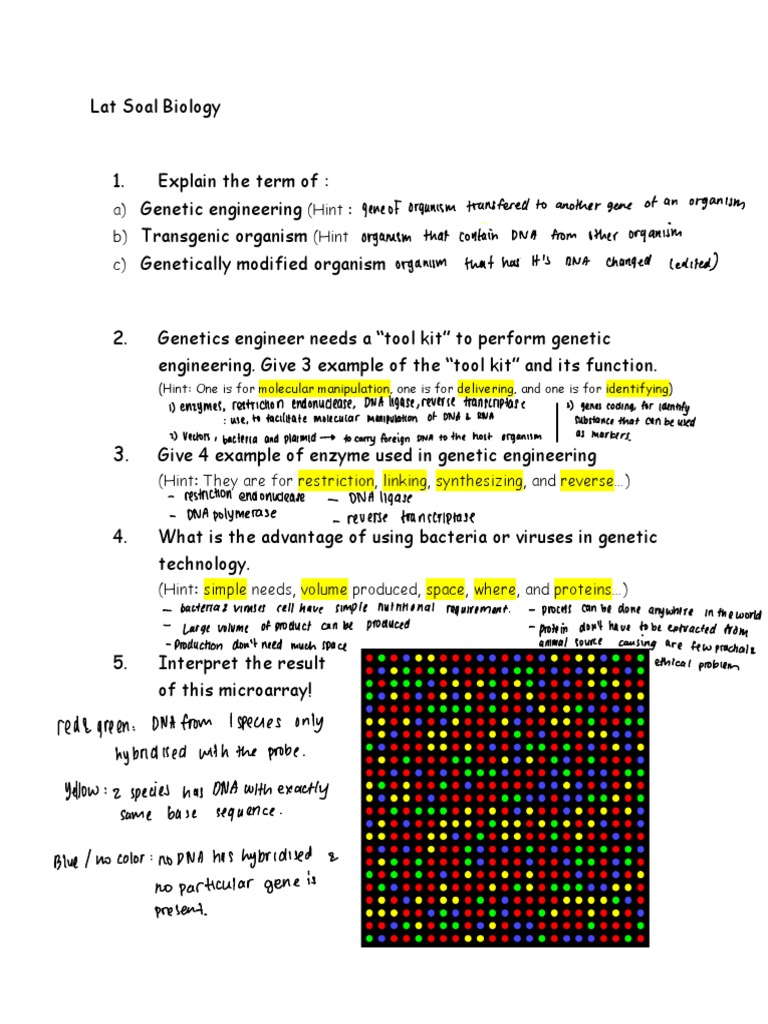 Lat Soal Biology | PDF | Genetically Modified Organism | Genetic ...