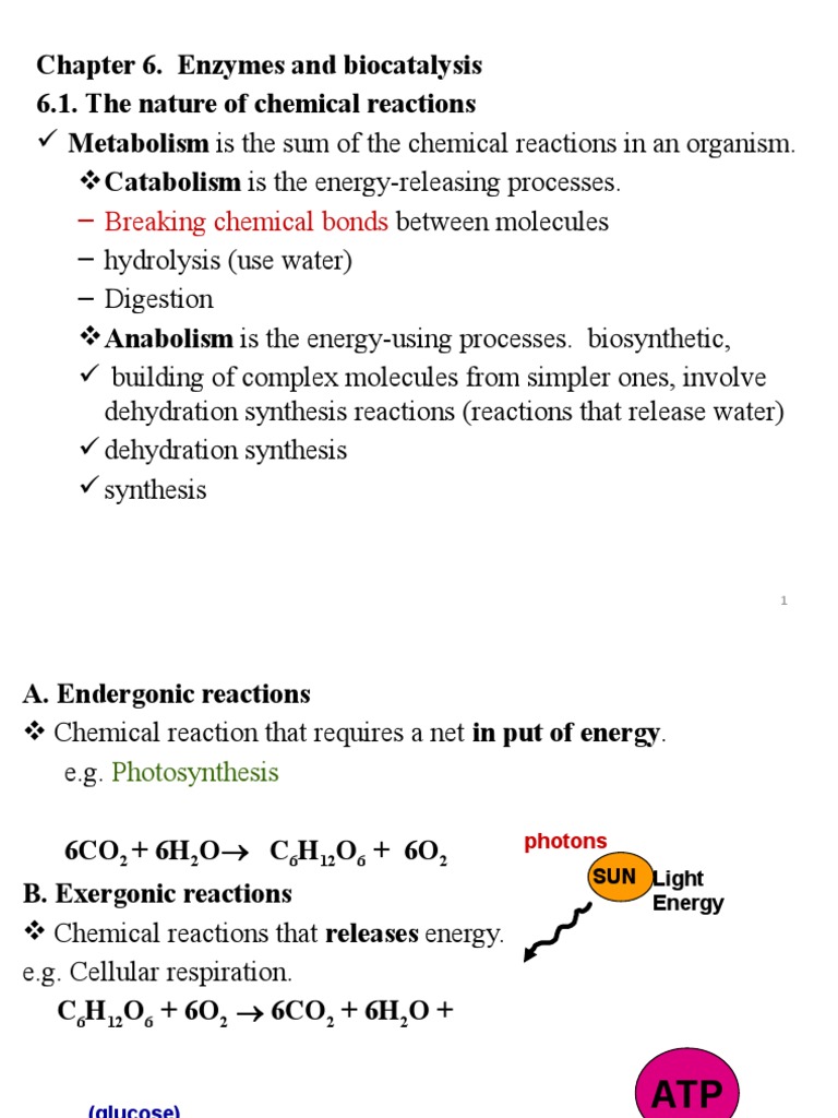 Cell Bio Chapter 6 | PDF | Enzyme | Enzyme Inhibitor