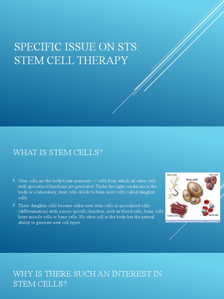 Stem Cells | PDF | Stem Cell | Regenerative Medicine