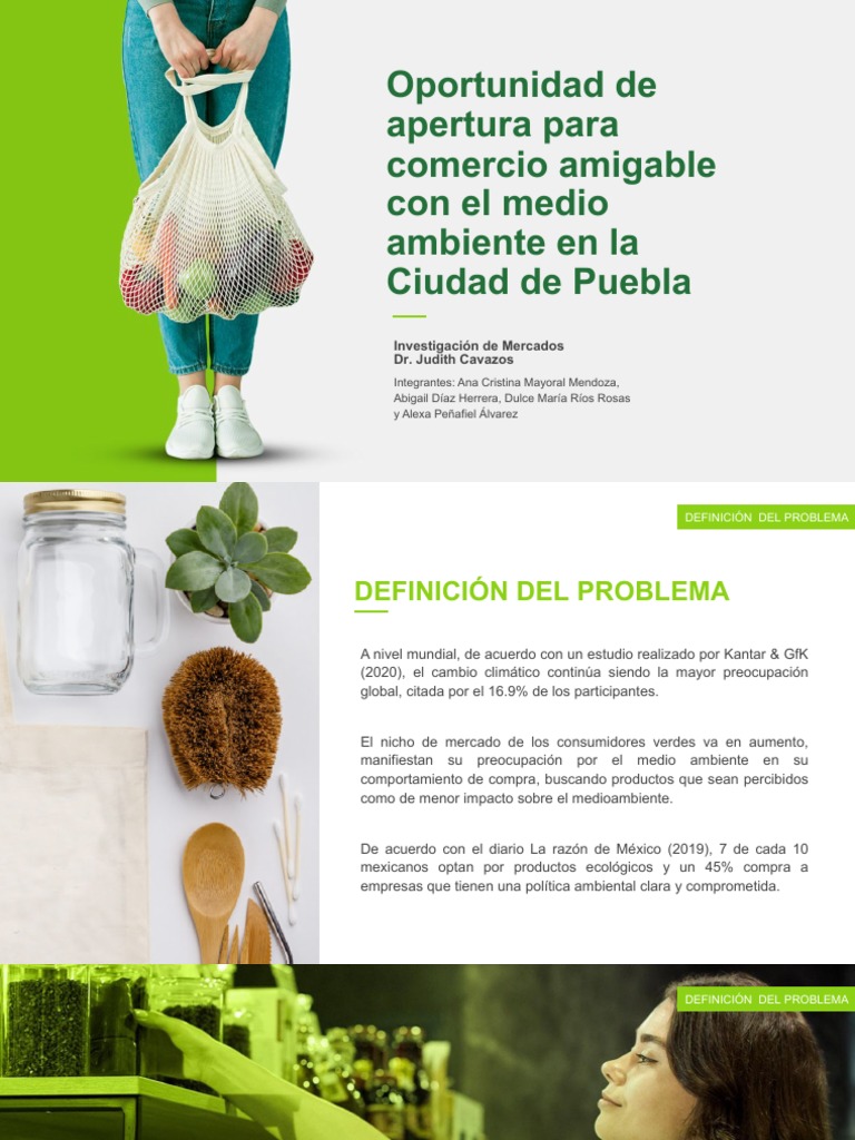 IDM Presentación Final | PDF | México | Mercado (economía)