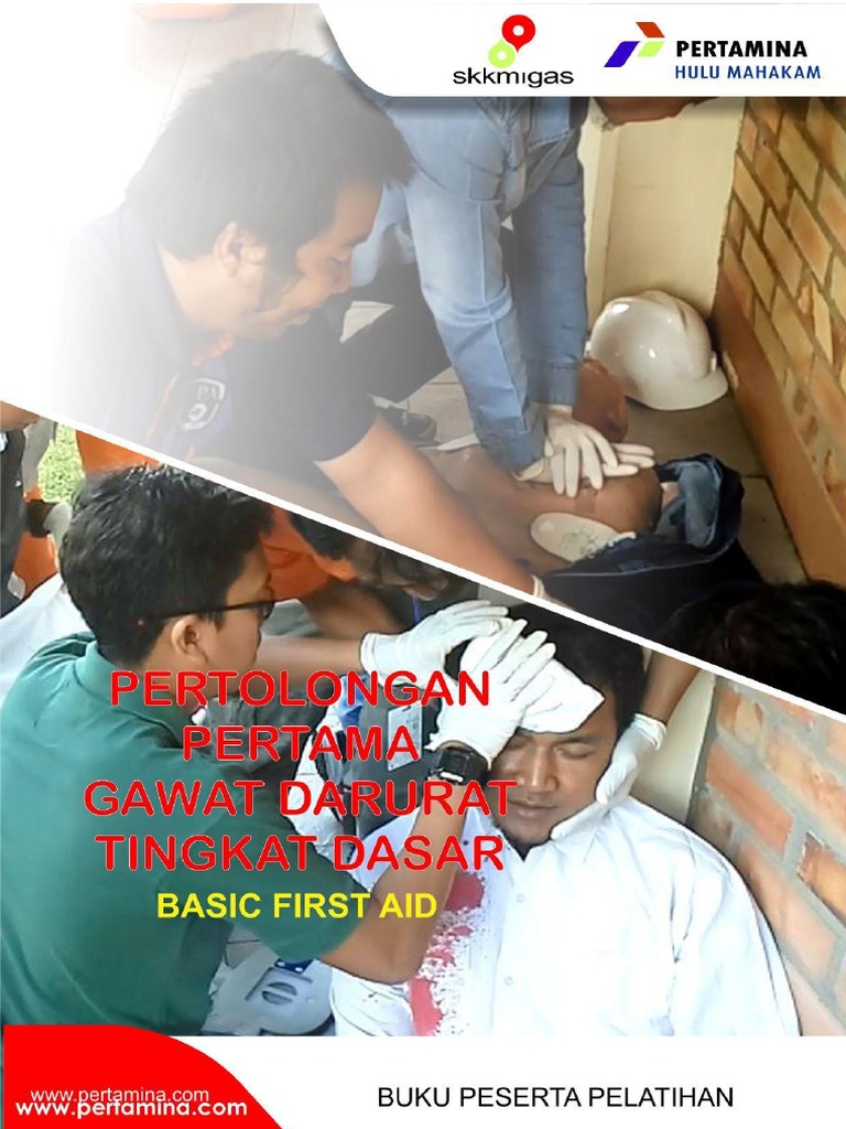 Basic First Aid | PDF