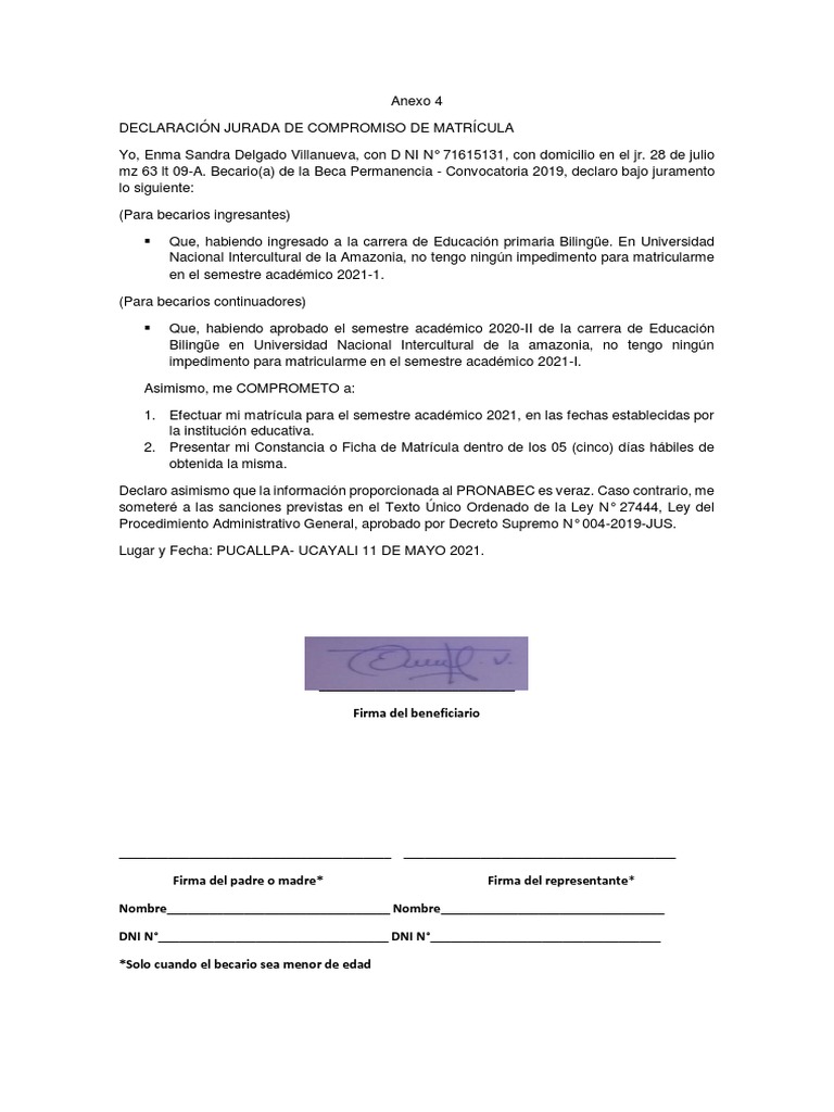 Instrucciones para Anexo 4 PRONABEC | PDF