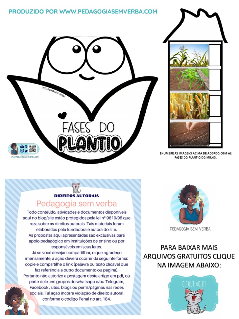 Fases Do Plantio Do Milho | PDF