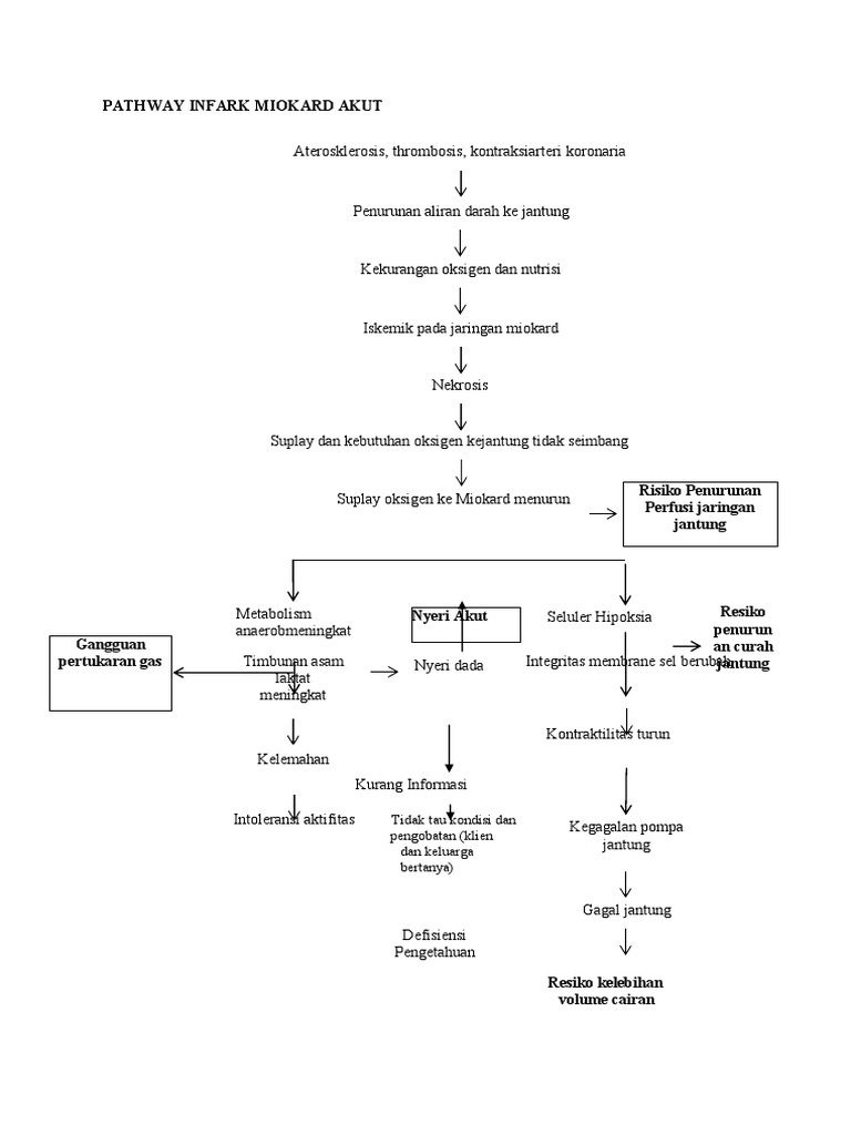 Panduan Infark Miokard Akut | PDF