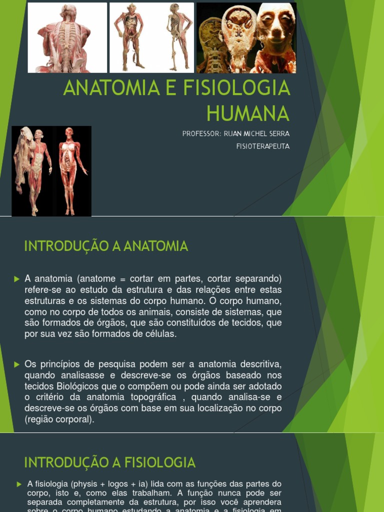 Anatomia e Fisiologia Humana | PDF
