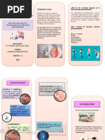 Modelos y Teorías de Enfermería - Lydia Hall | PDF | Enfermería | Medicina