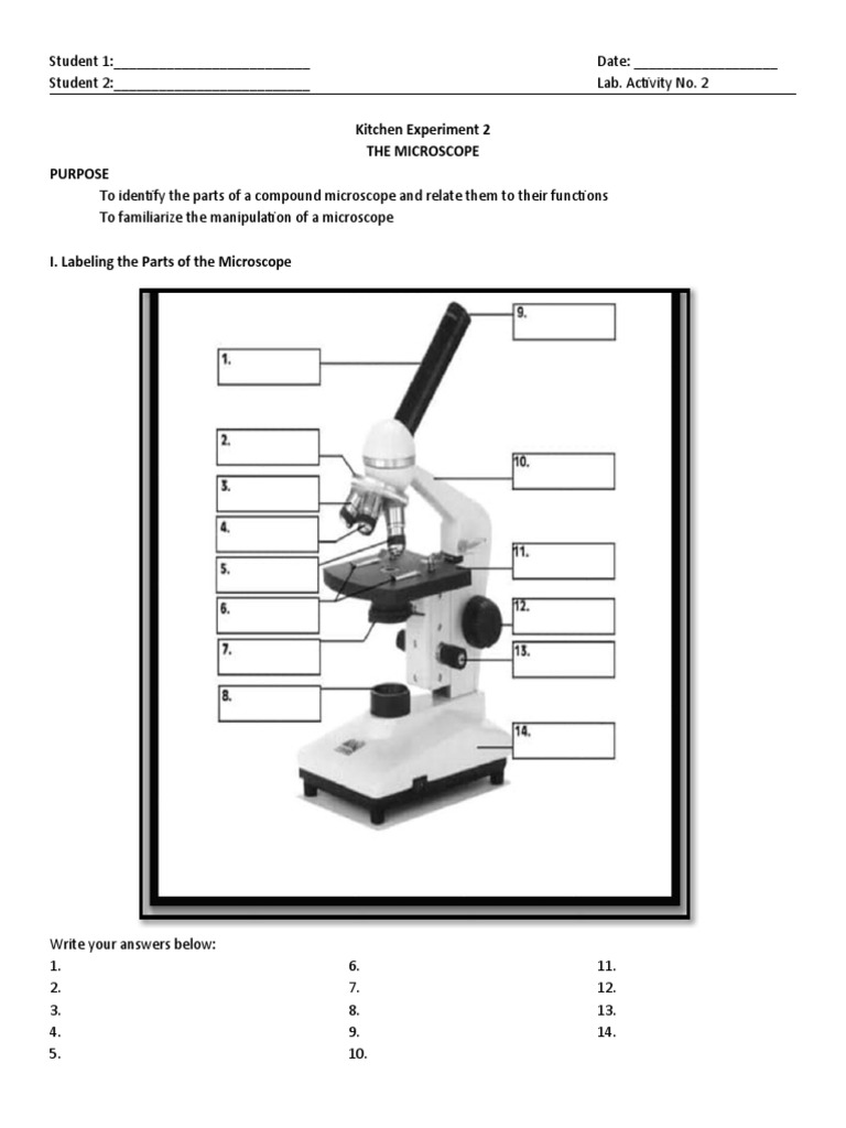LAB2 - Microscope | PDF