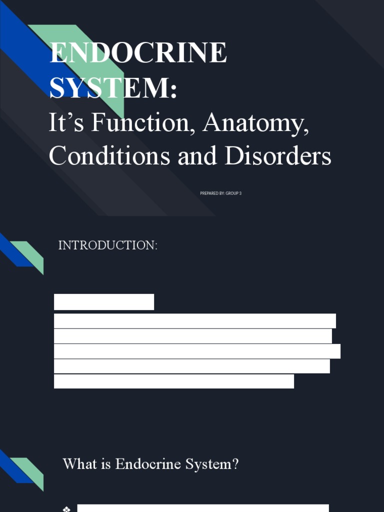 Endocrine System Group 3 | PDF | Endocrine System | Human Body