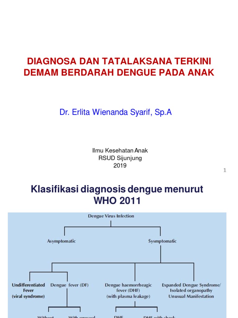 Dengue Handout SIMUpdate 3 | PDF
