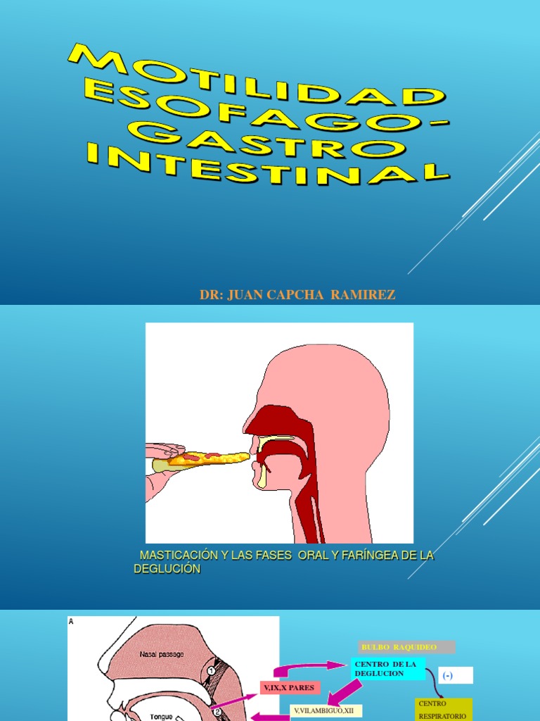 Motilidad Gastro-Intestinal2023 | PDF | Tracto gastrointestinal ...
