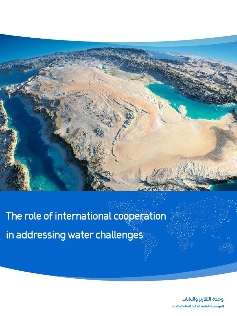 International Cooperation Report2023 | PDF