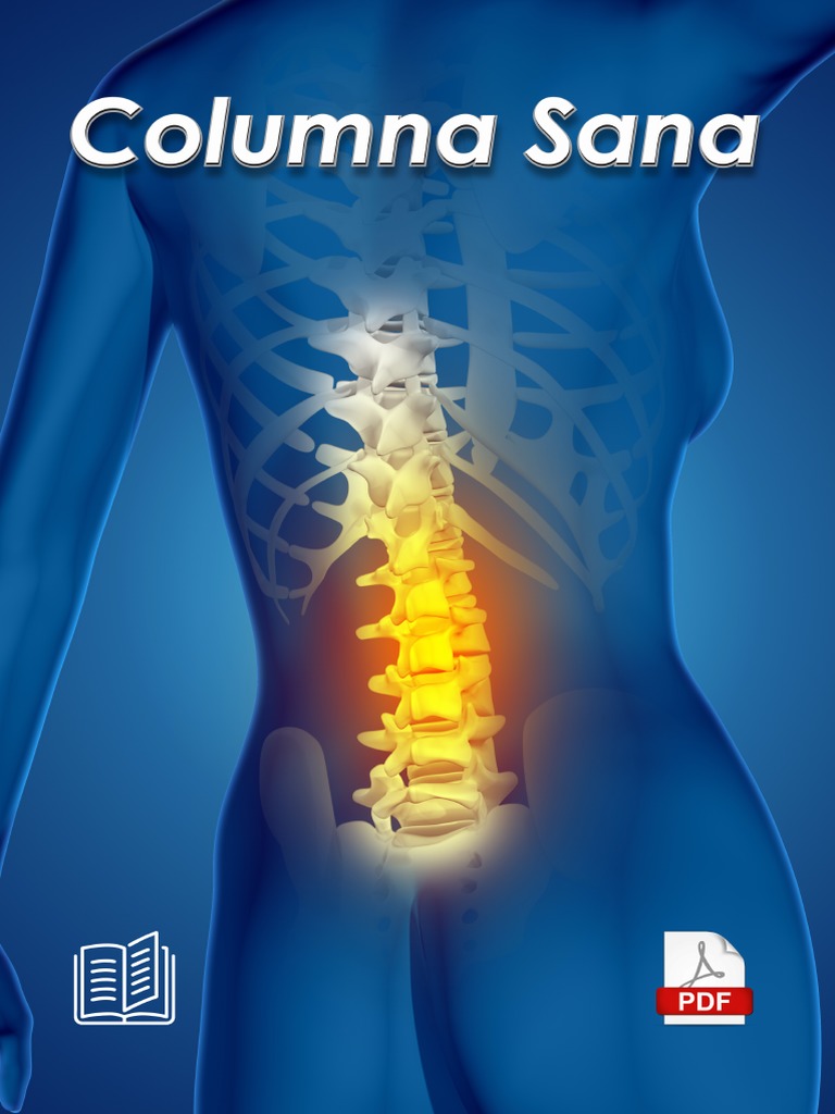 Evolución y Funciones de la Columna Vertebral | PDF | La columna ...