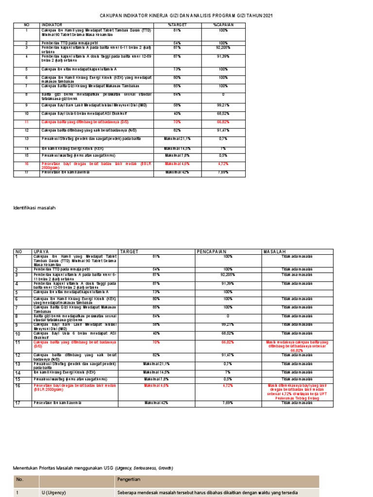 Indikator Kinerja Gizi Dan Analisis Program | PDF