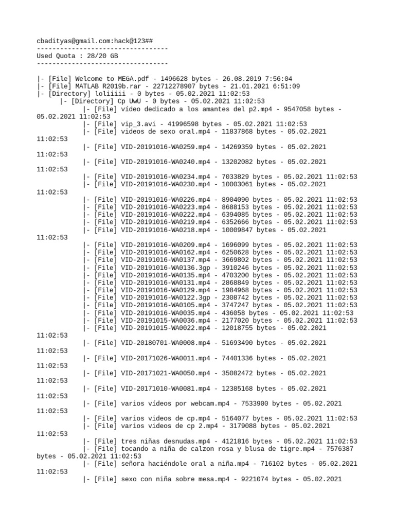 Account 1 | PDF | Computing | Multimedia