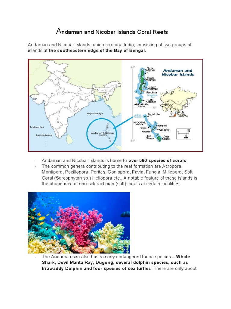 Andaman and Nicobar Islands Coral Reefs | PDF