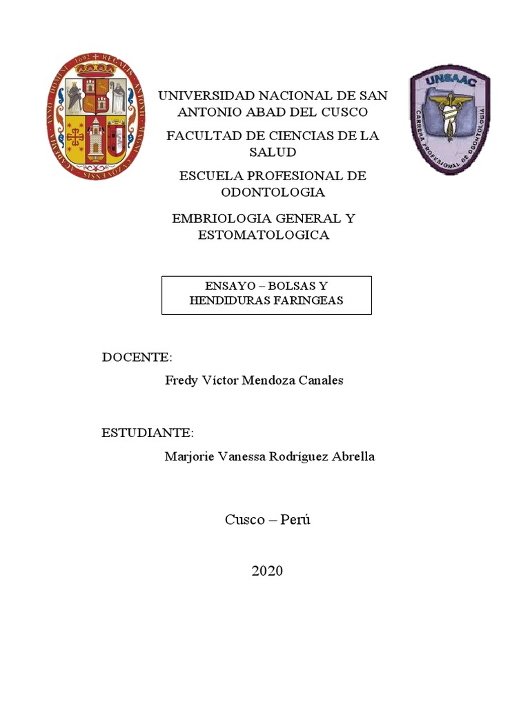 Desarrollo de bolsas y hendiduras faringeas | PDF | Epitelio | Timo