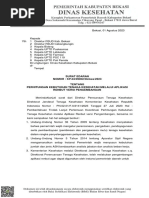 Penyusunan Rencana Kebutuhan SDM Kesehatan | PDF