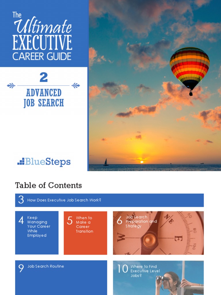 Career Guide Executive Job Search | PDF | Social Media | Popular ...