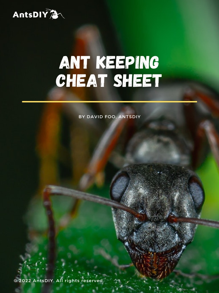 AntsDIY Ant Keeping Cheat Sheet | PDF | Ant | Pupa