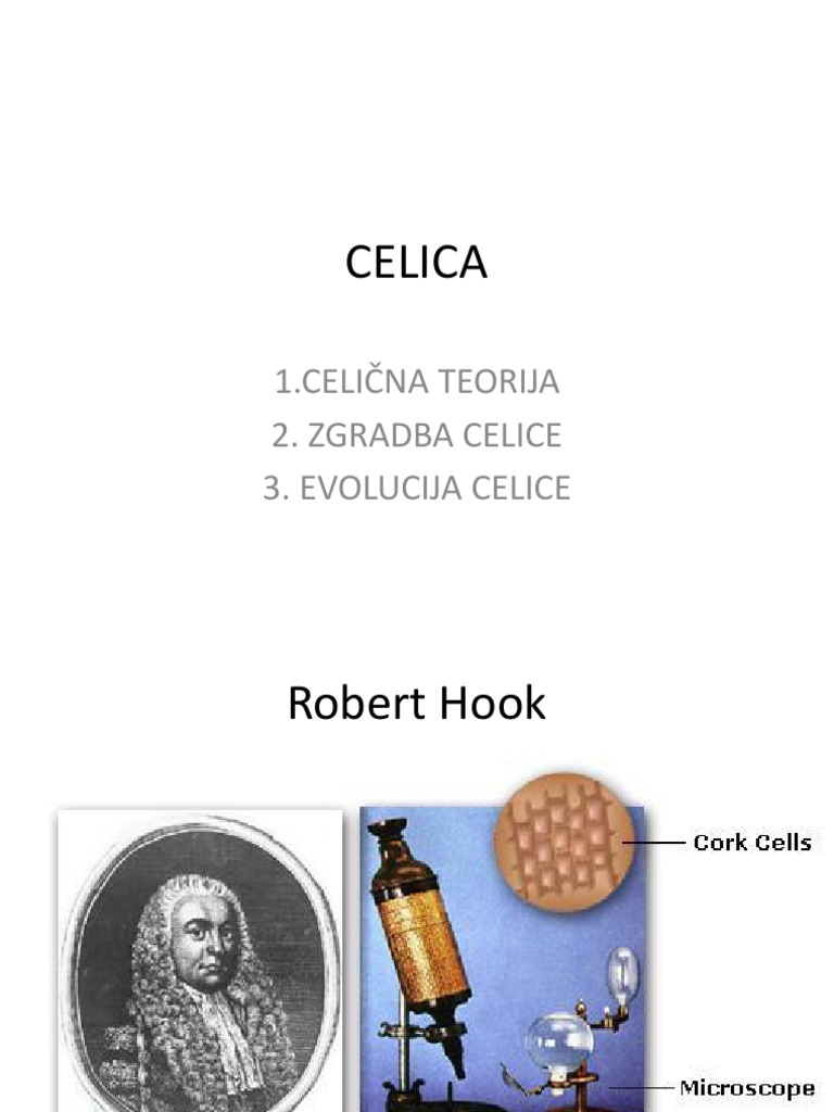 CELICA | PDF