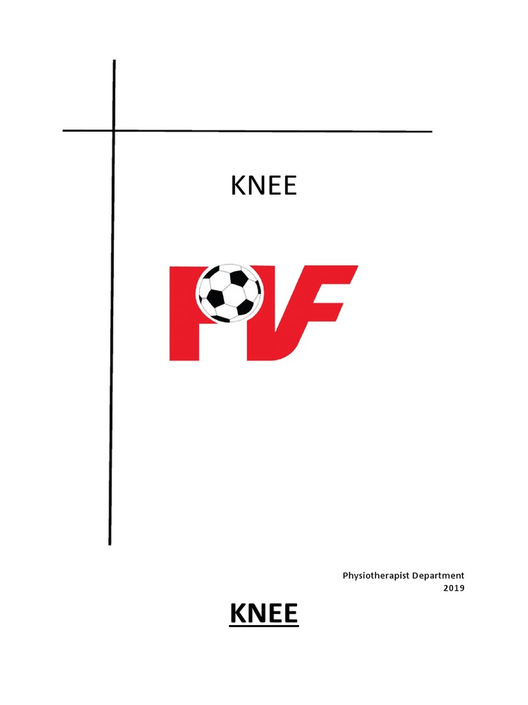 PCL File | Download Free PDF | Knee | Joints