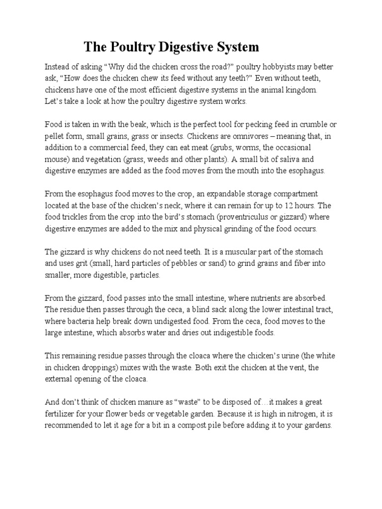 The Poultry Digestive System - 001 | PDF | Digestion | Agriculture