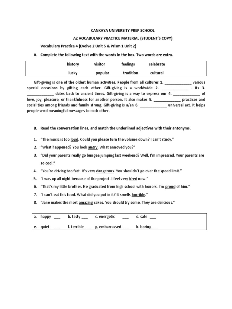 Vocabulary Practice 4 - A2vcb004s | PDF