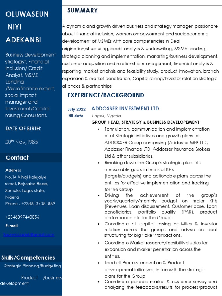 Seun Adekanbi Resume 0809-1 | PDF | Banks | Loans