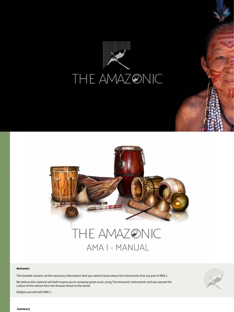 Instrumentos Amazonia | PDF | Performing Arts | Music Industry