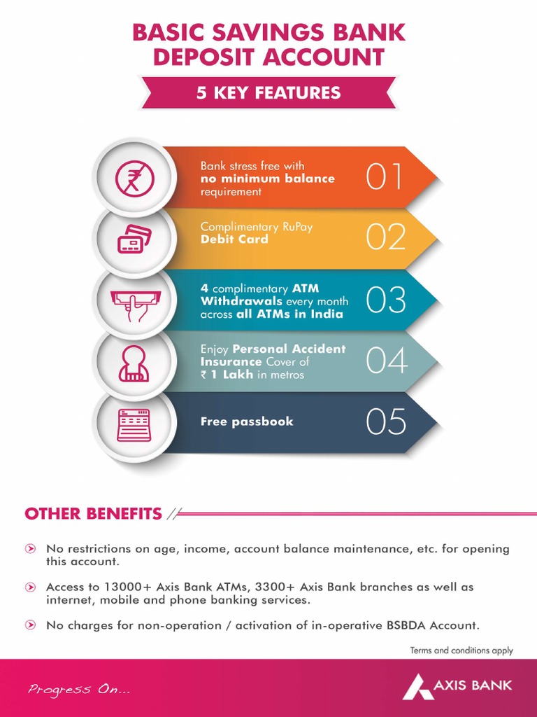 basic-savings-bank-deposit-account-(bsbda) | PDF