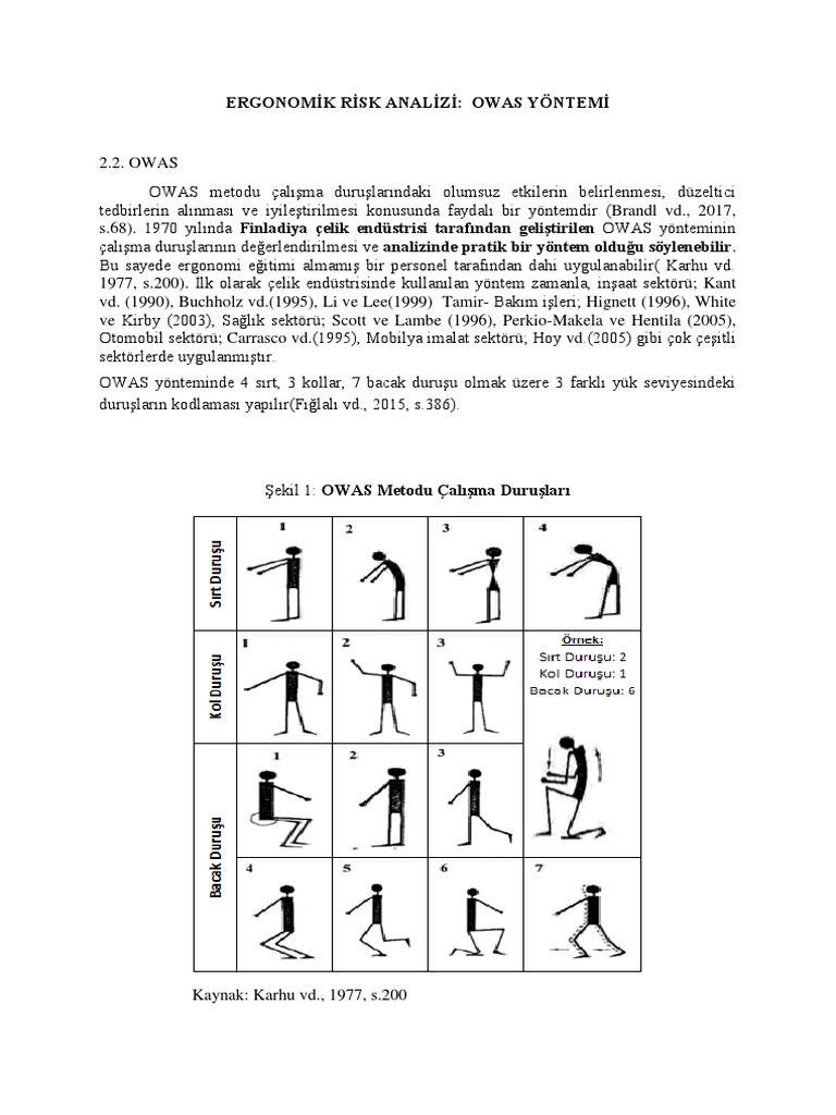 OWAS - Risk Analizi | PDF