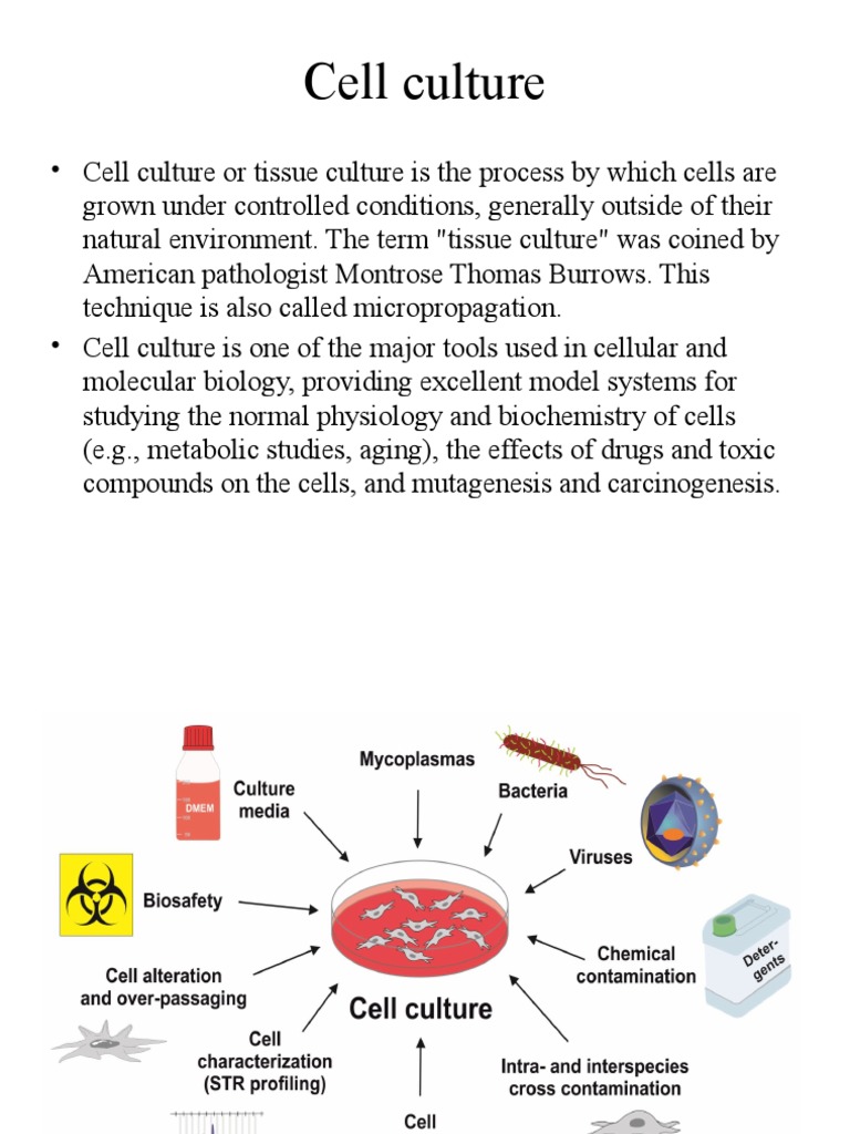 Overview of Cell Culture Techniques | PDF