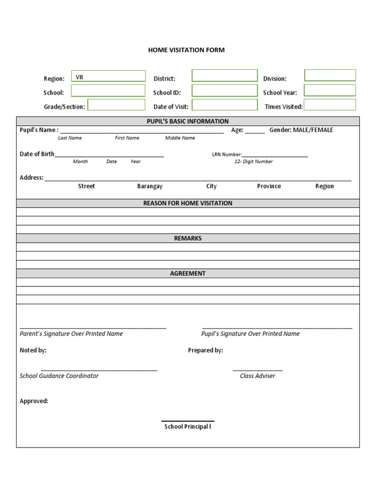 Home Visitation Form | PDF