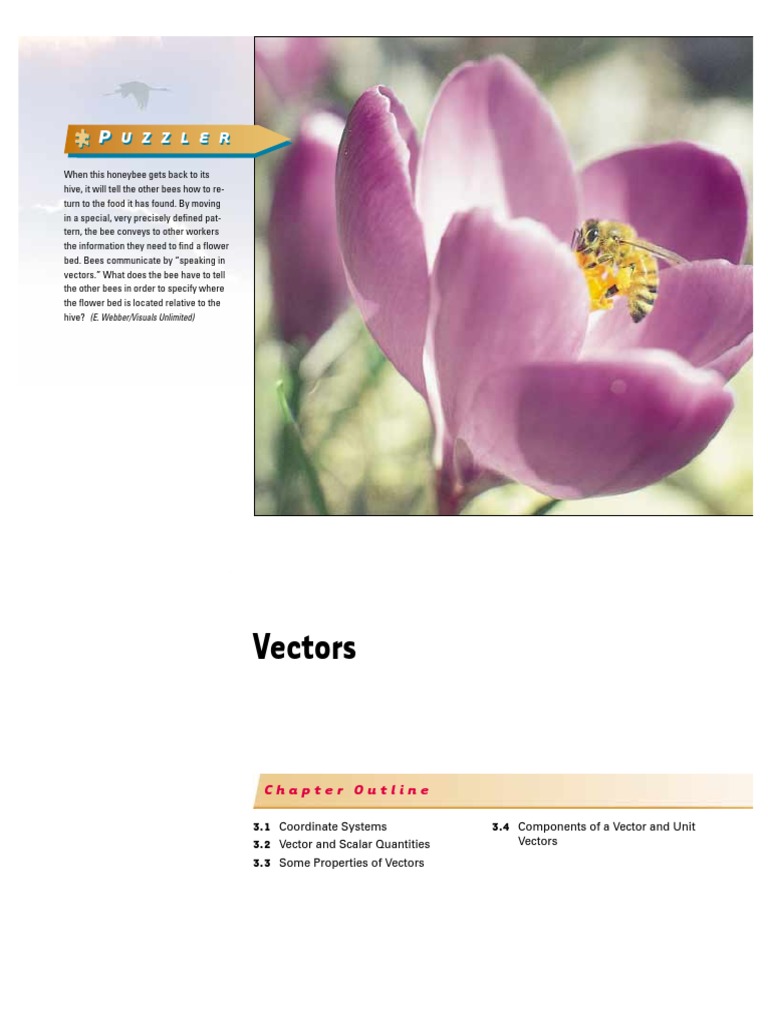 02 Vector - Algebra | PDF | Teaching Methods & Materials